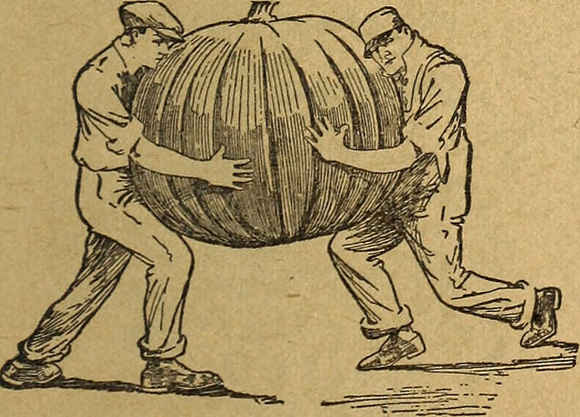 Save and Load Sci-kit Learn Models - deparkes